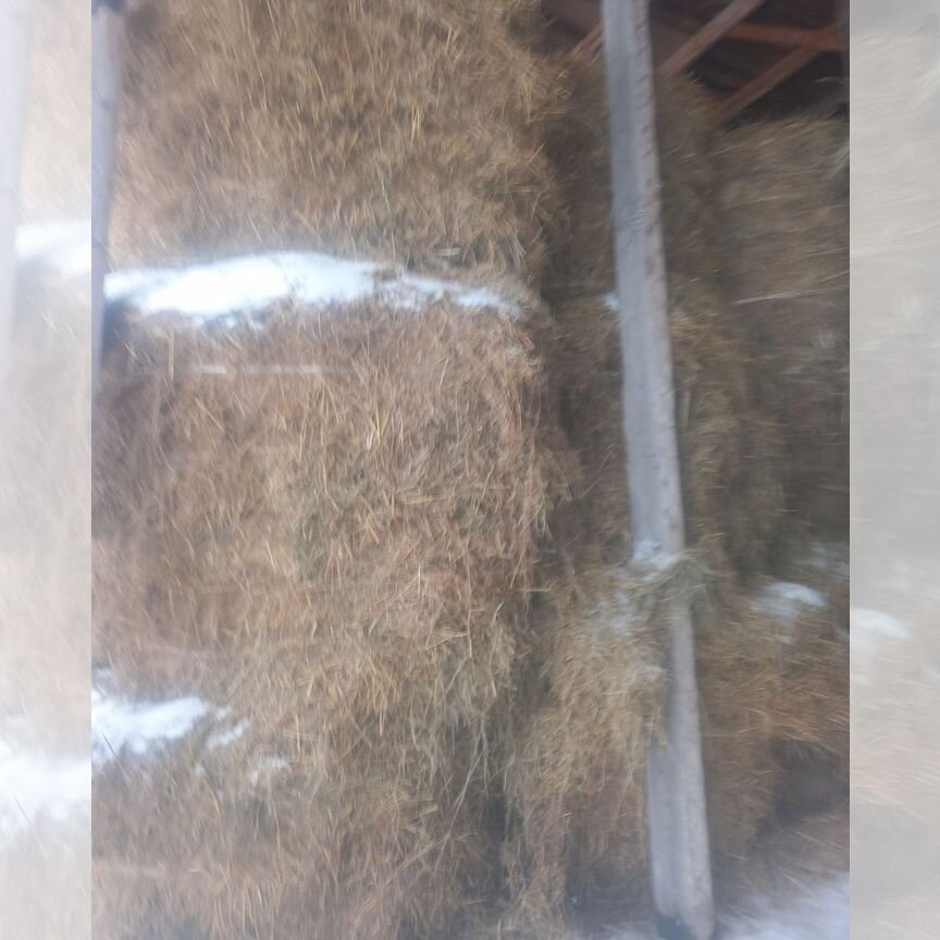 Солома в рулонах