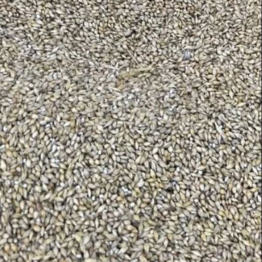 Подсолнечная зерносмесь