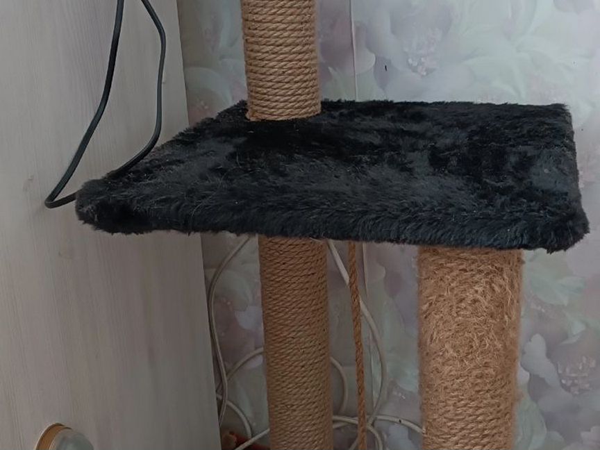 Когтеточка для кошек