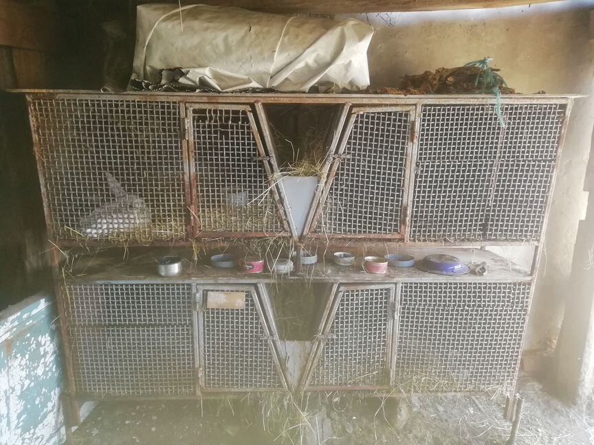 Крольчатник