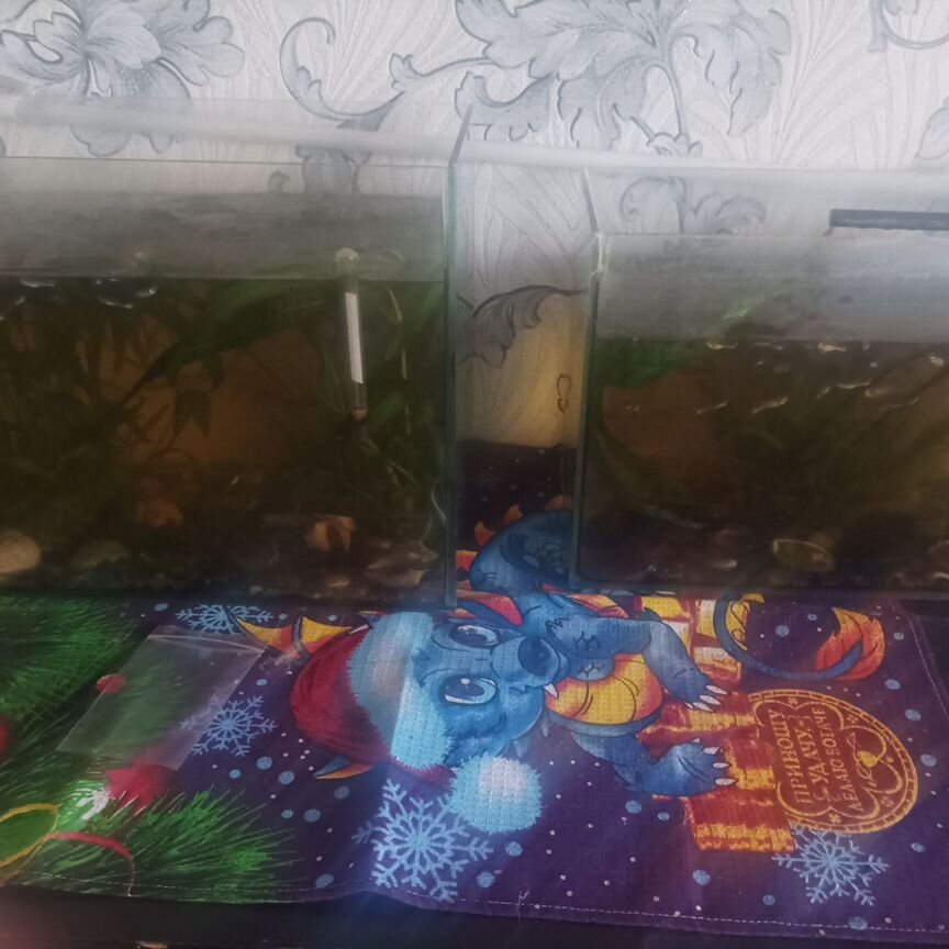 Аквариум с рыбками