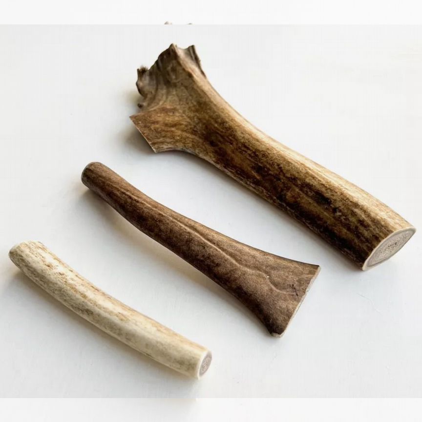 Оленьи рога для собак