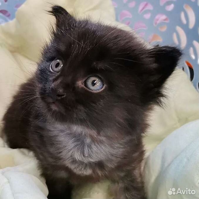 Мальчик с пальчик