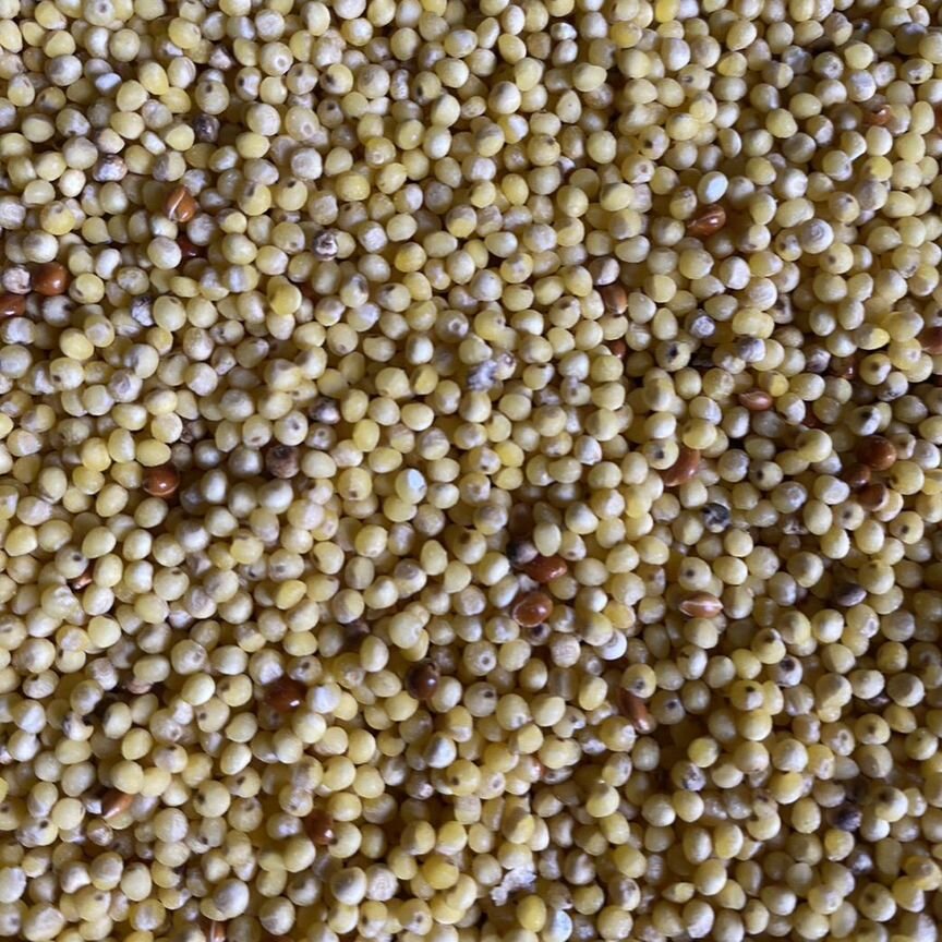 Пшено 3 сорт