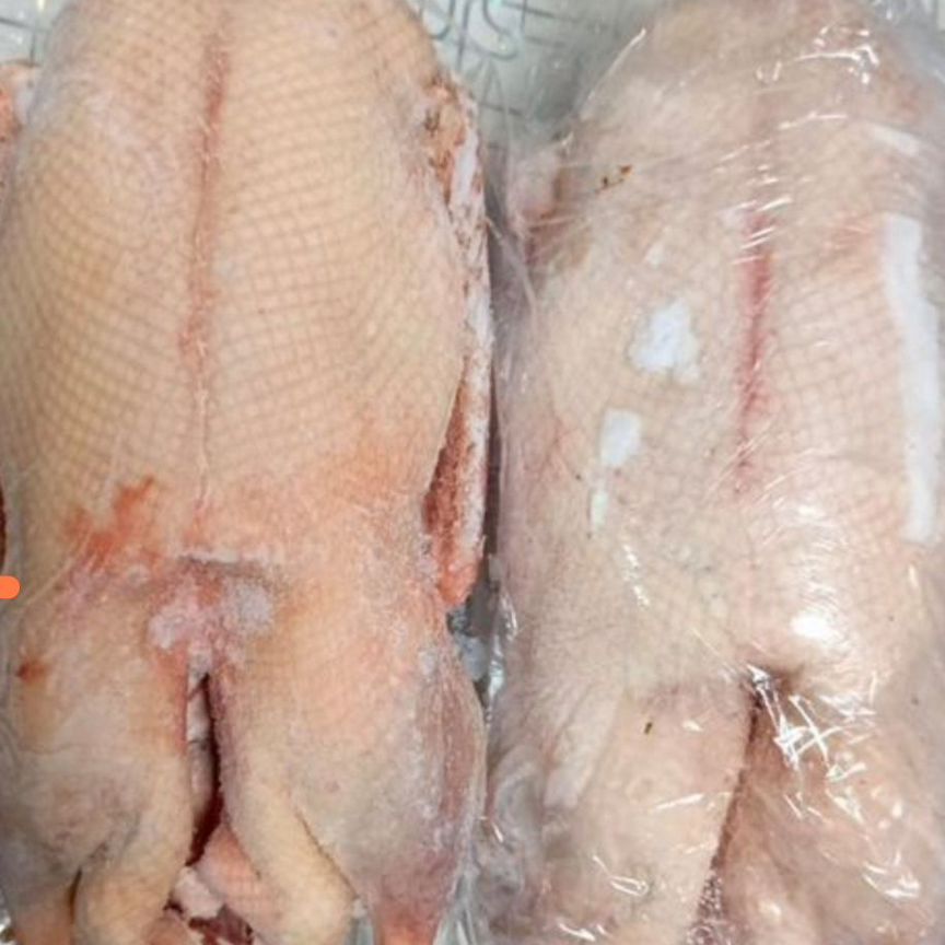 Гусиное мясо