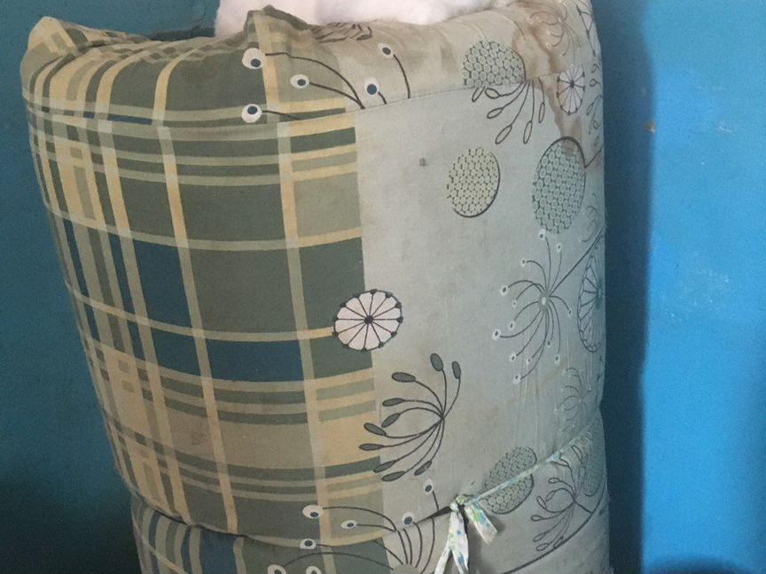 Отдам бесплатно