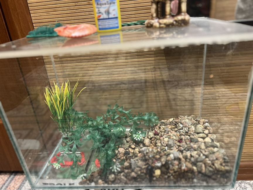 Аквариум с грунтом и декором