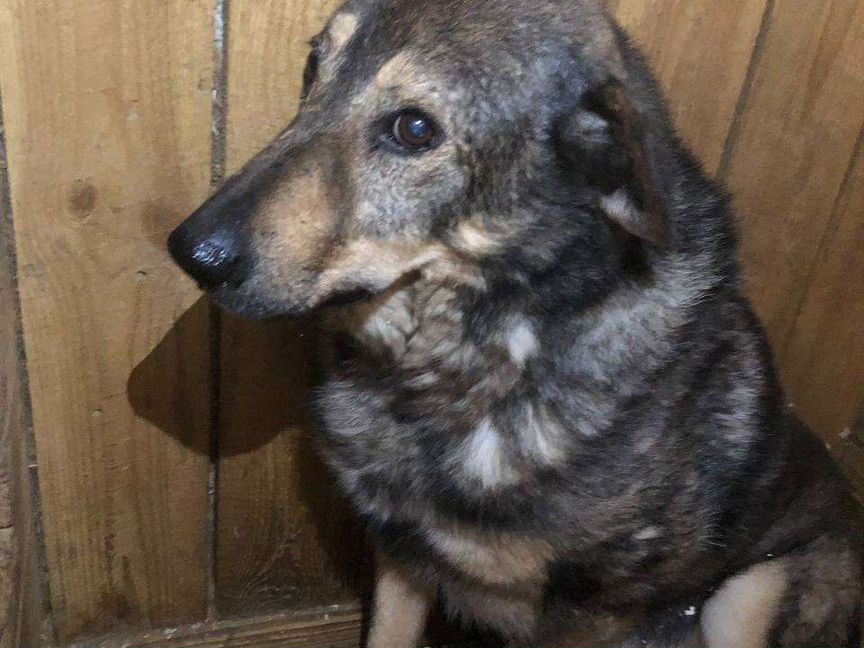 Он никогда не узнает, что такое дом