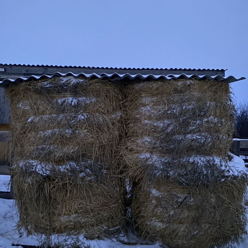 Сено, кормосмесь