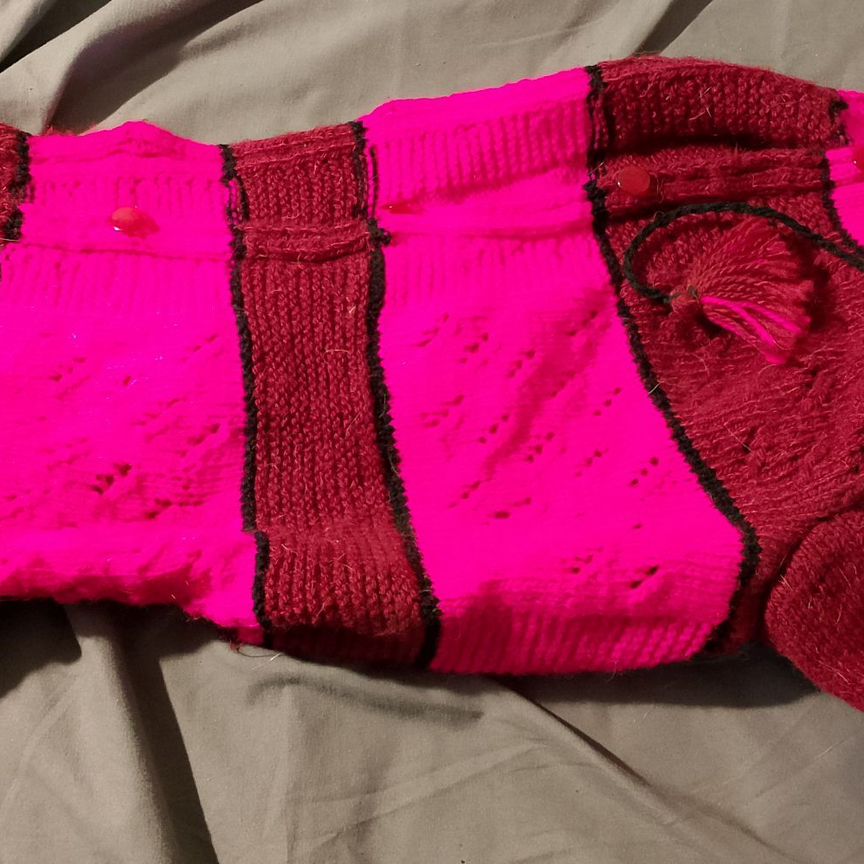 Комбинезон для собаки