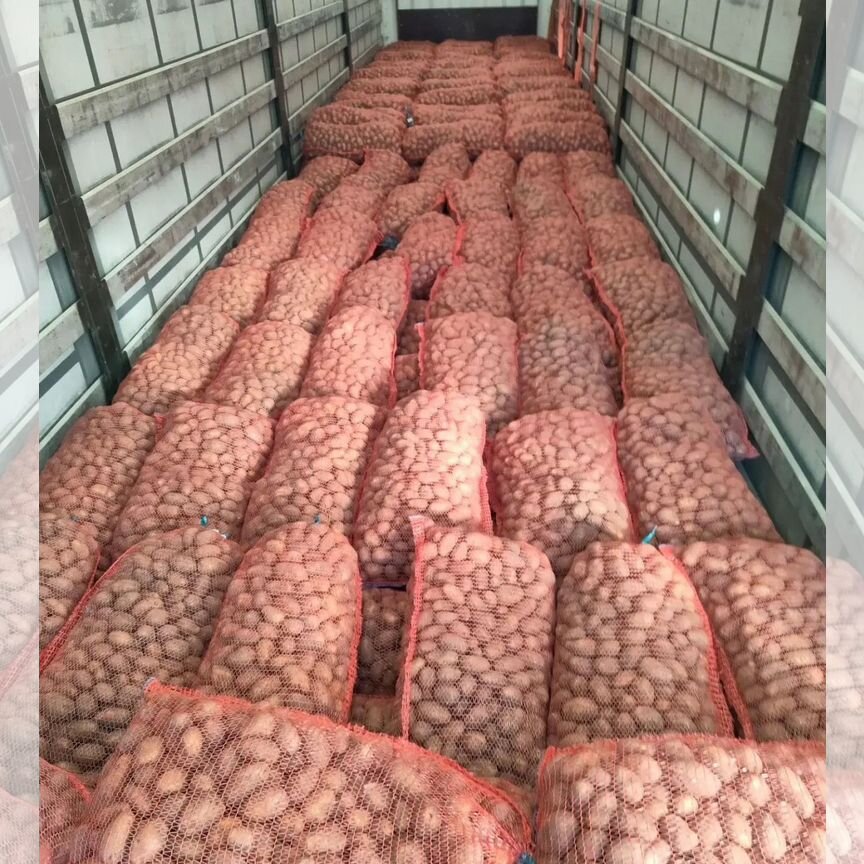 Картофель на корм, 20т, мягкий