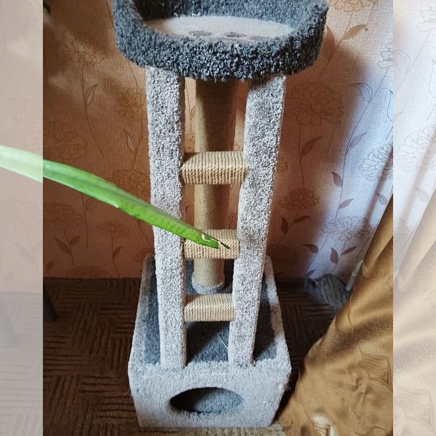 Когтеточка