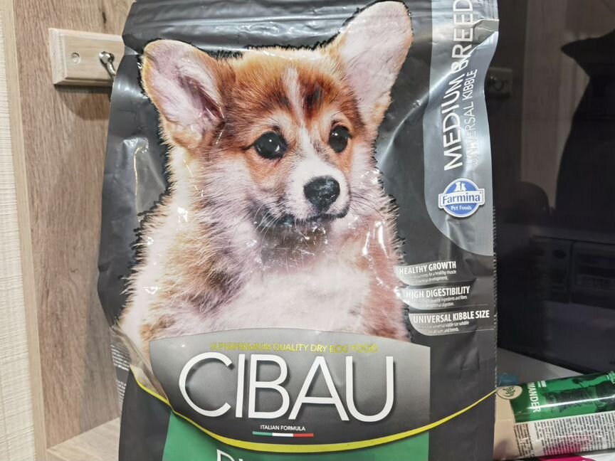 Сухой корм для собак