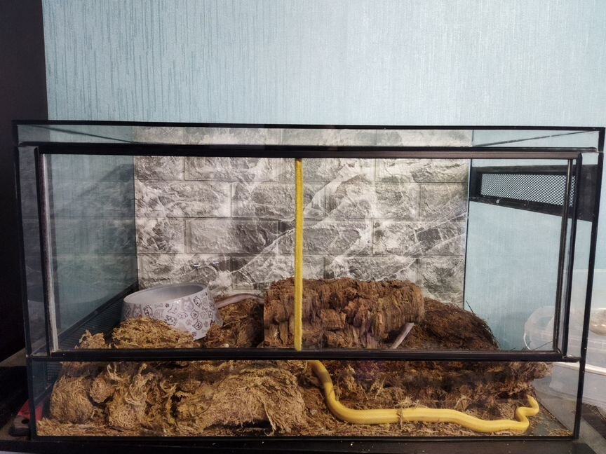 Террариум стеклянный