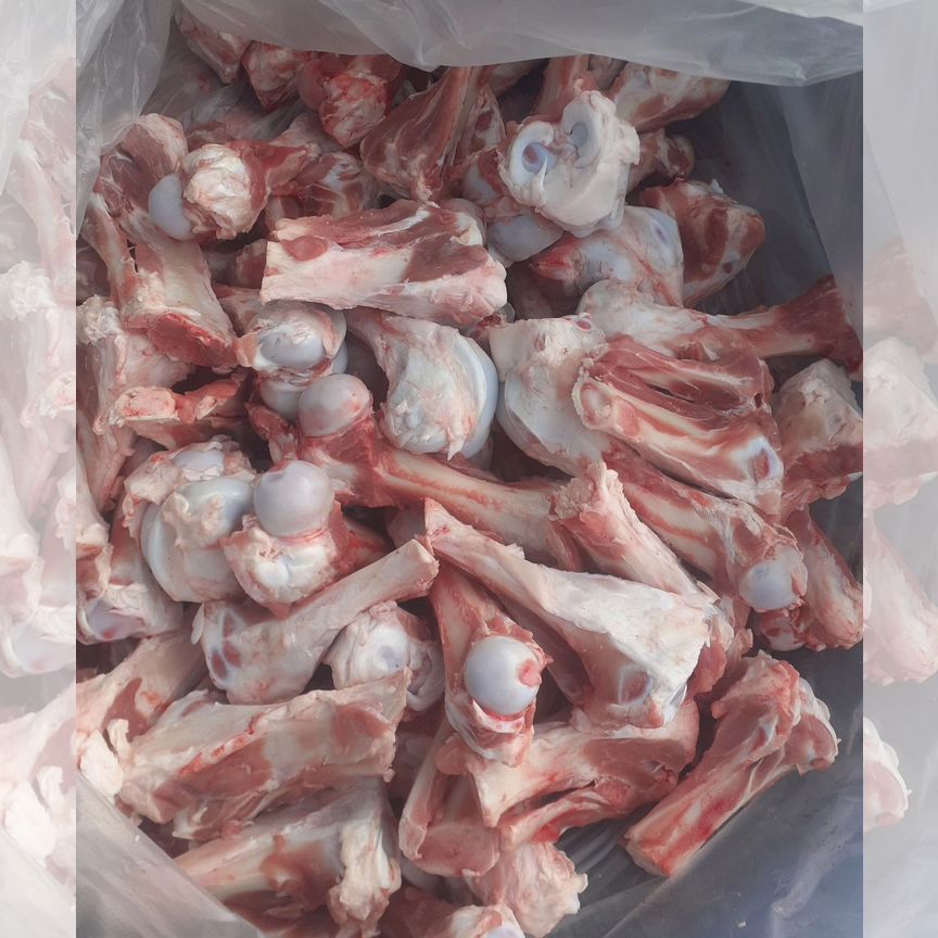 Мясо и кости для собак