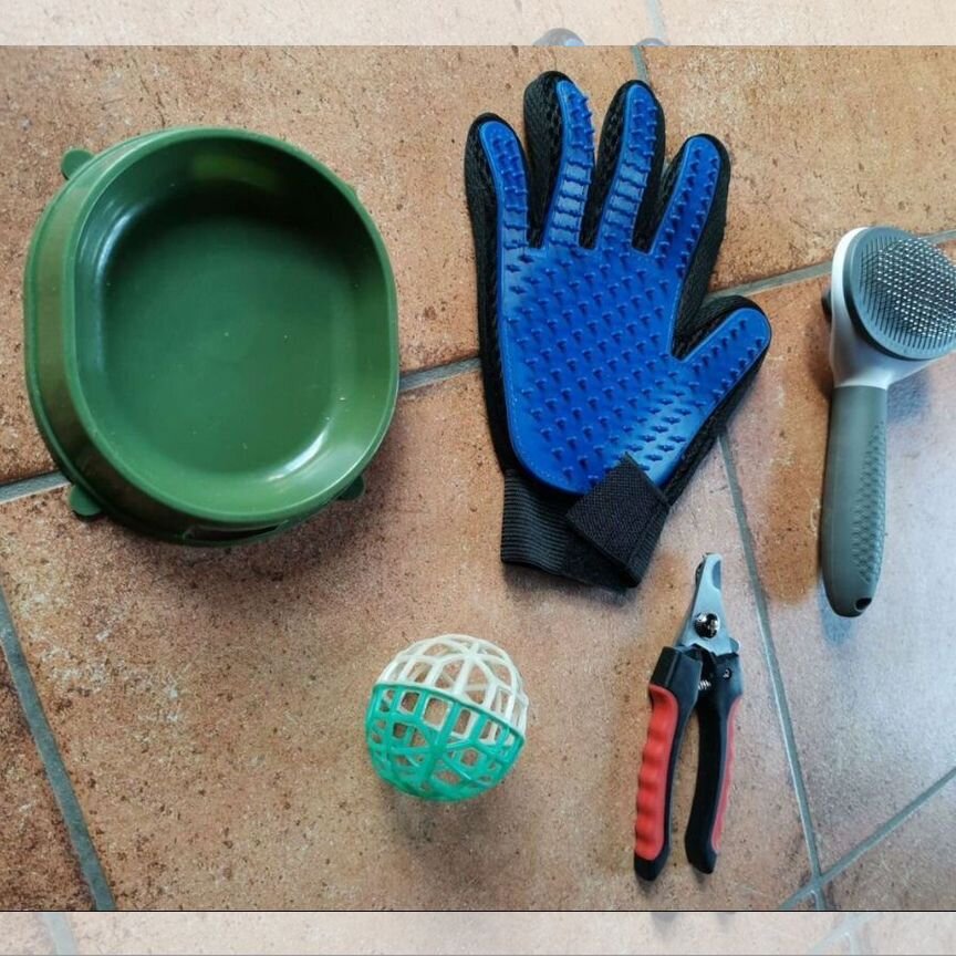 Кошачий набор