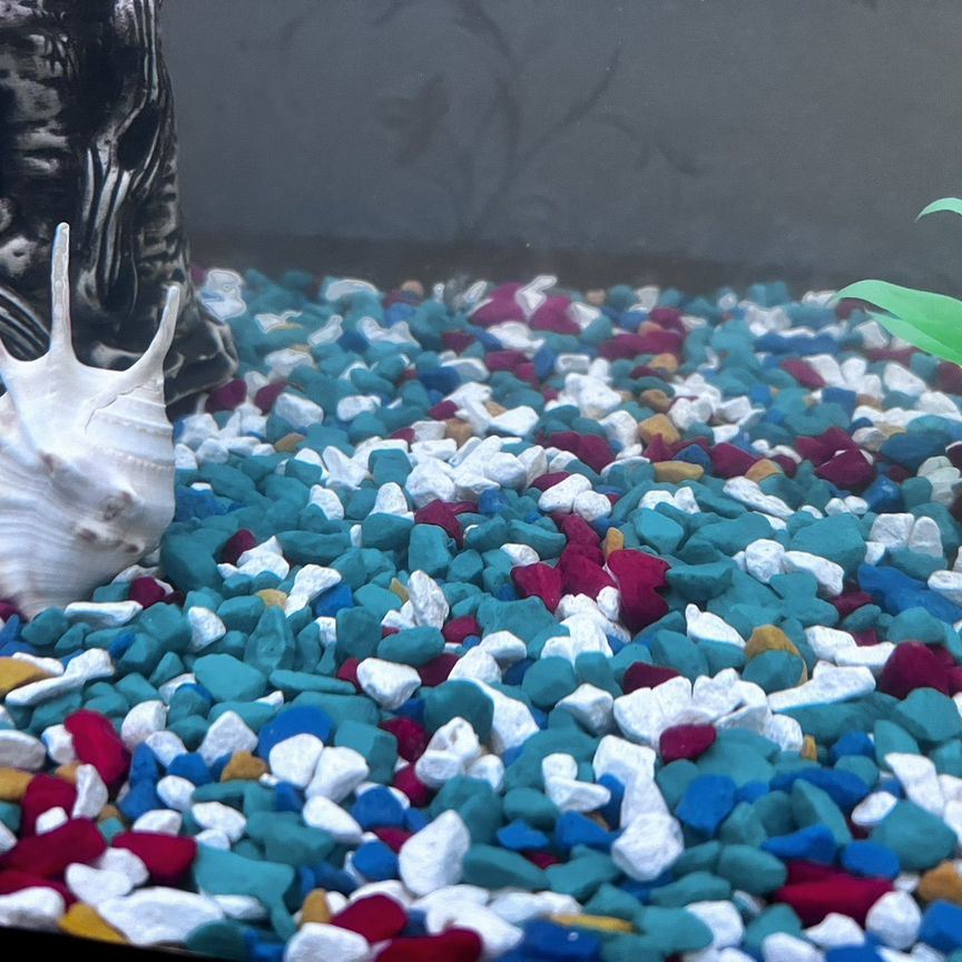 Аквариумный грунт