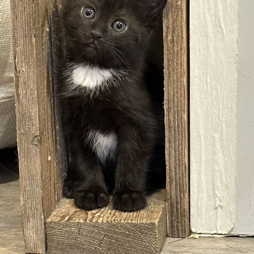 Девчонка ждёт