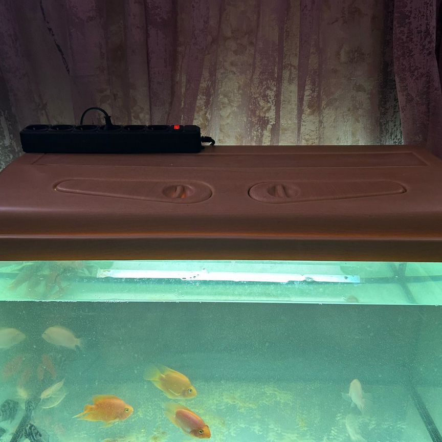 Аквариум с крышкой