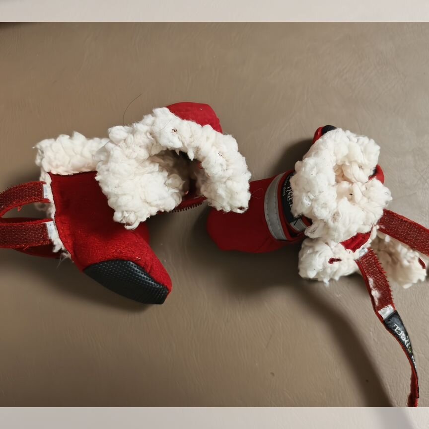 Обувь для маленьких собак зимняя