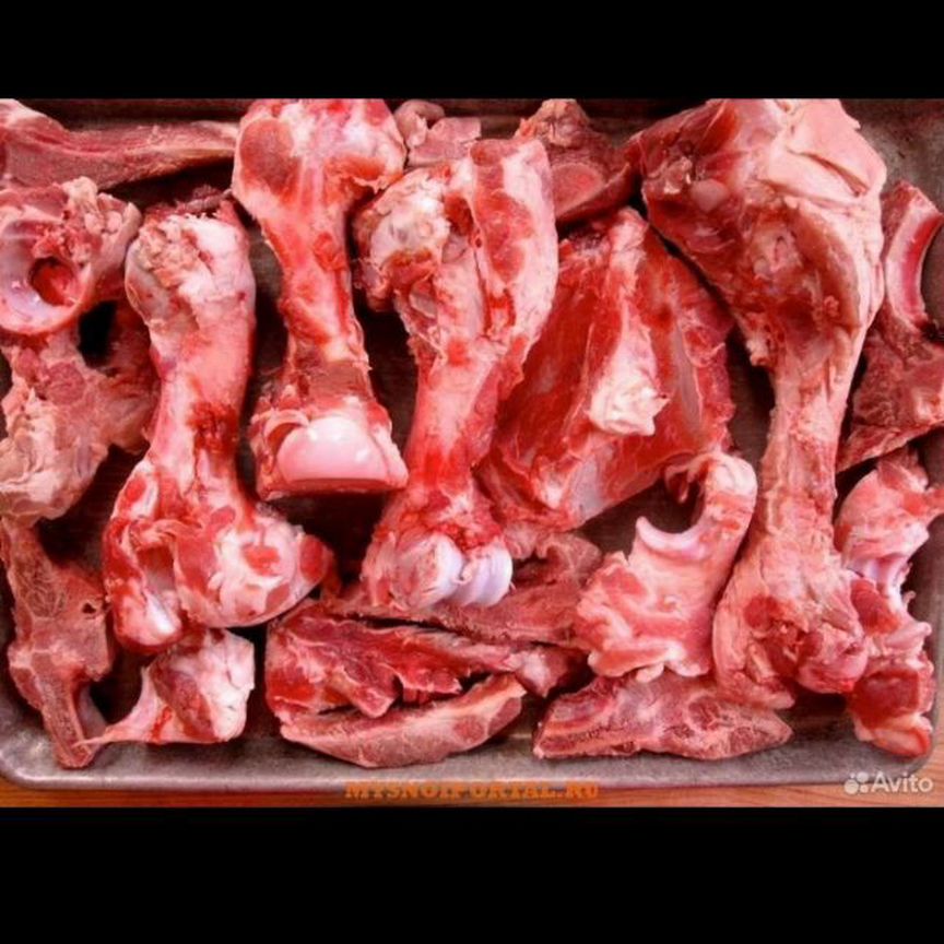 Кости для собак