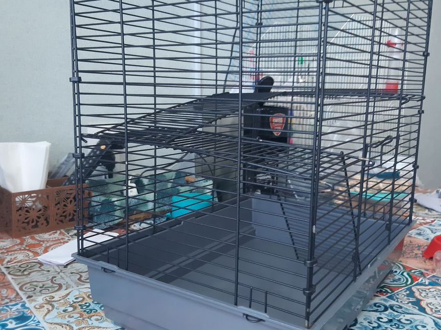 Клетка для крысы