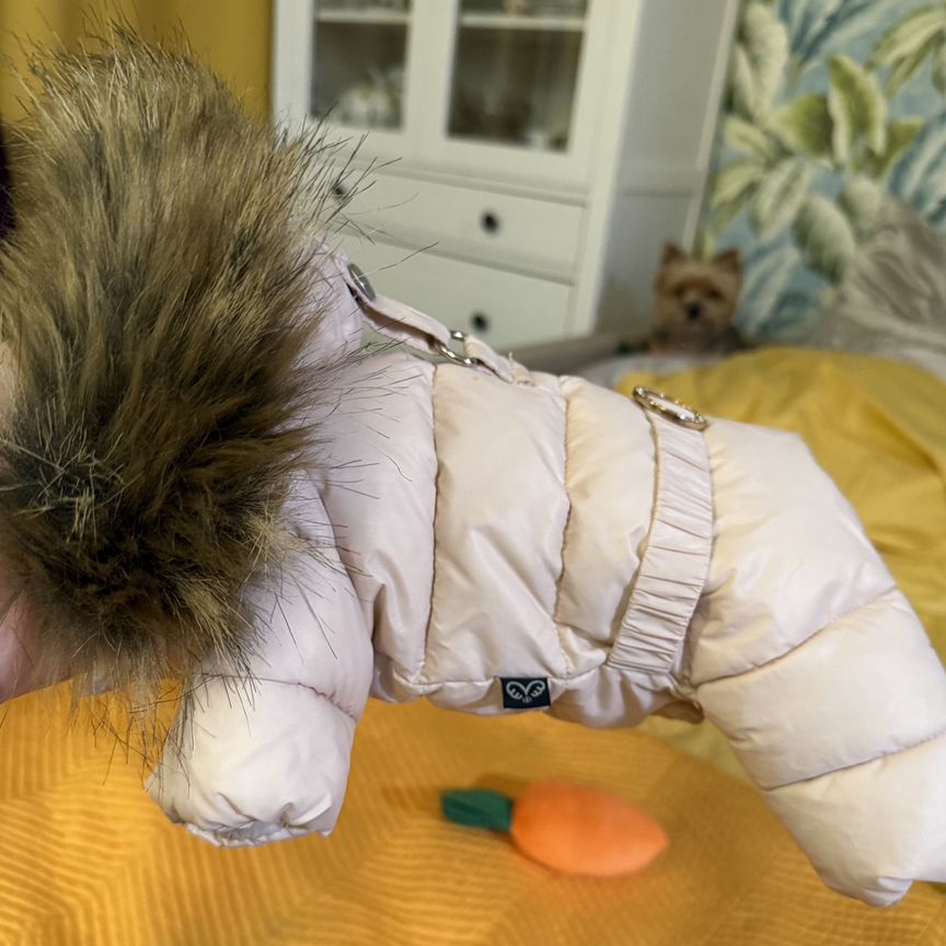 Одежда для собак puppy angel S