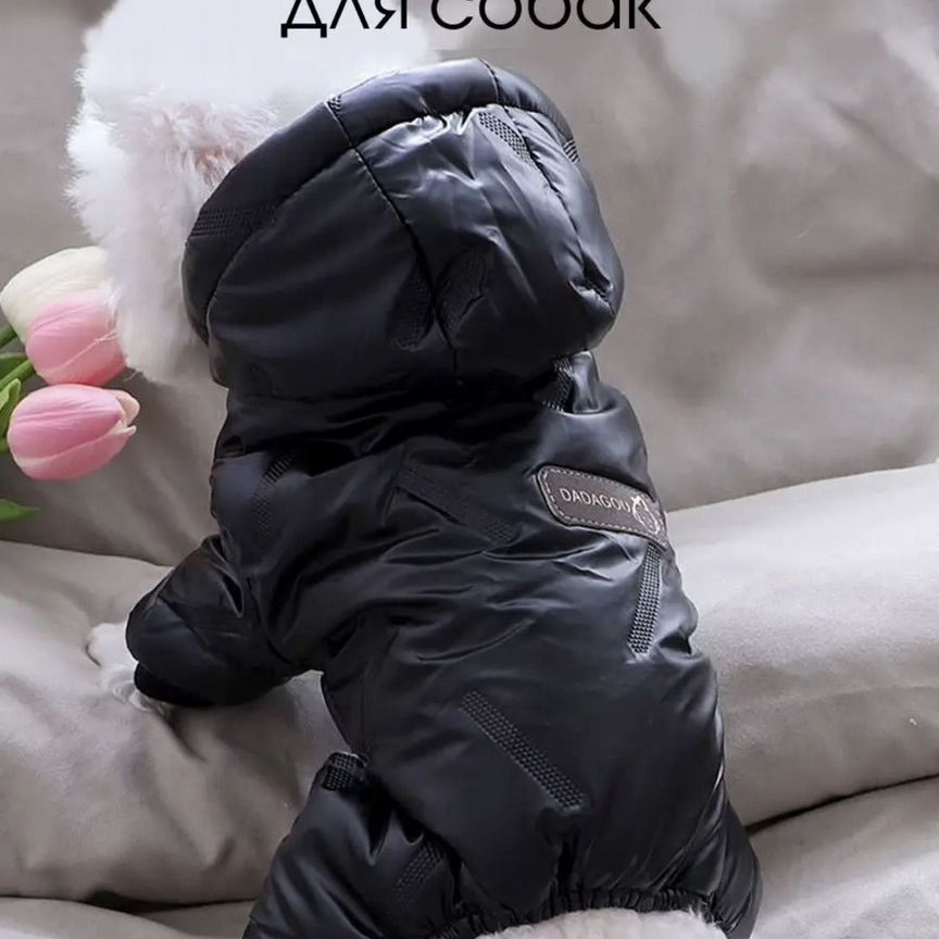 Одежда для собак