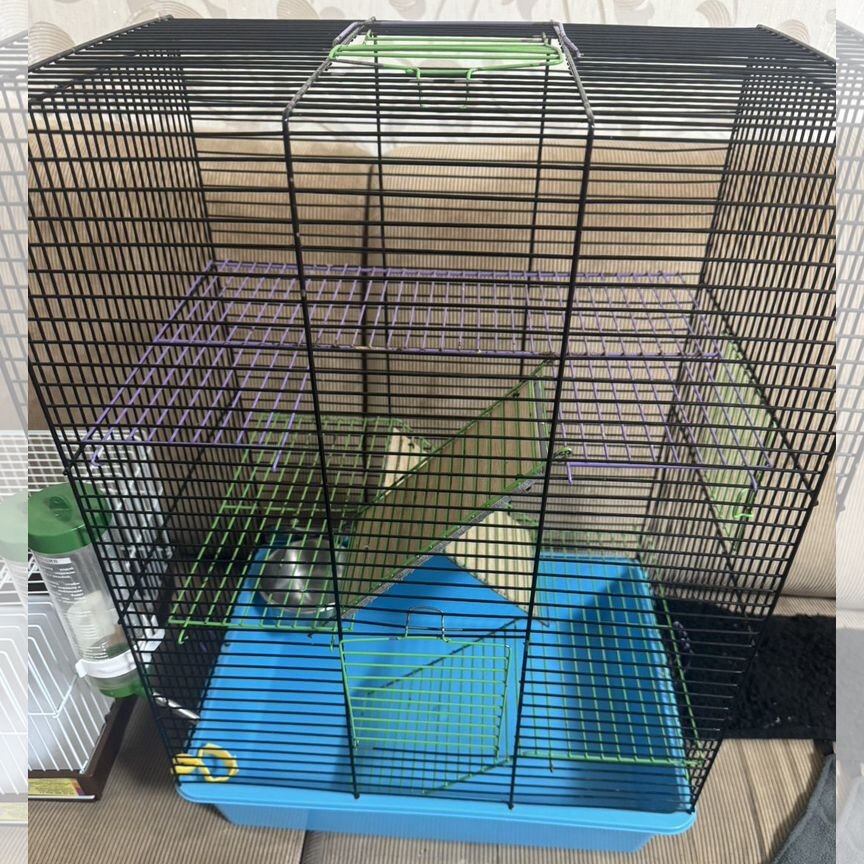 2 клетки, корм, аксессуары