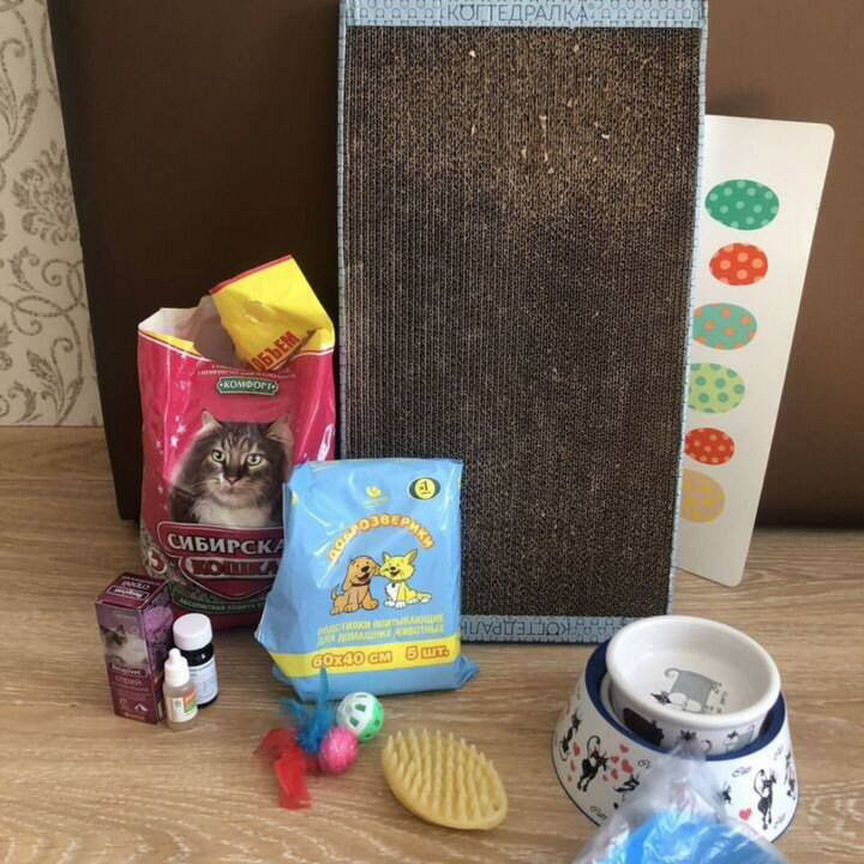 Бесплатно Набор для кошки
