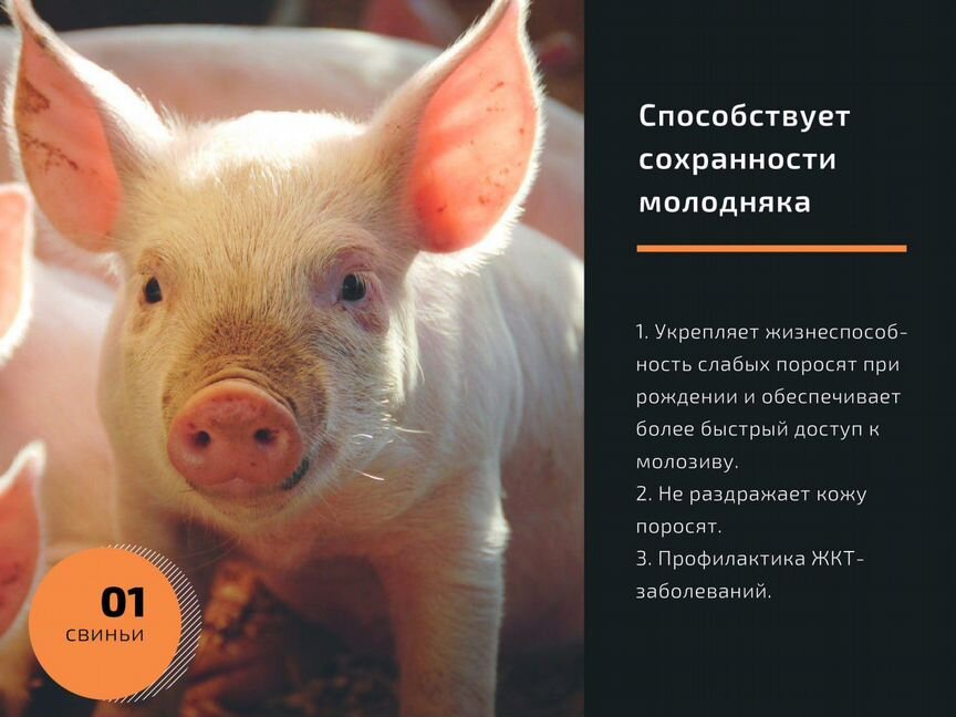 Осушитель подстилки пр-во Франция