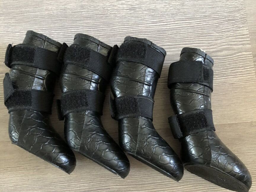 Сапоги для собак мелких пород