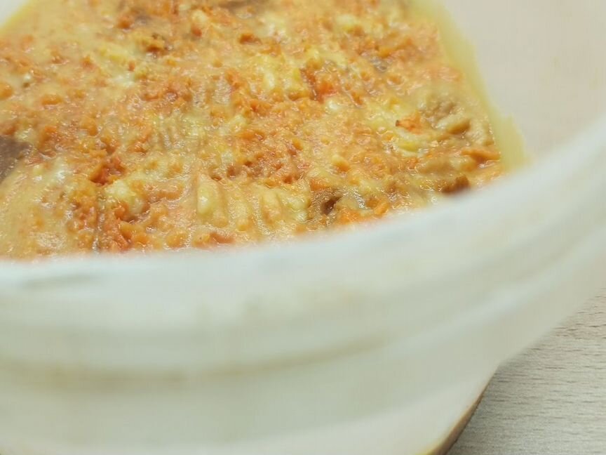 Нематода (уксусная угрица)