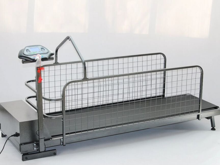 Беговая дорожка для животных