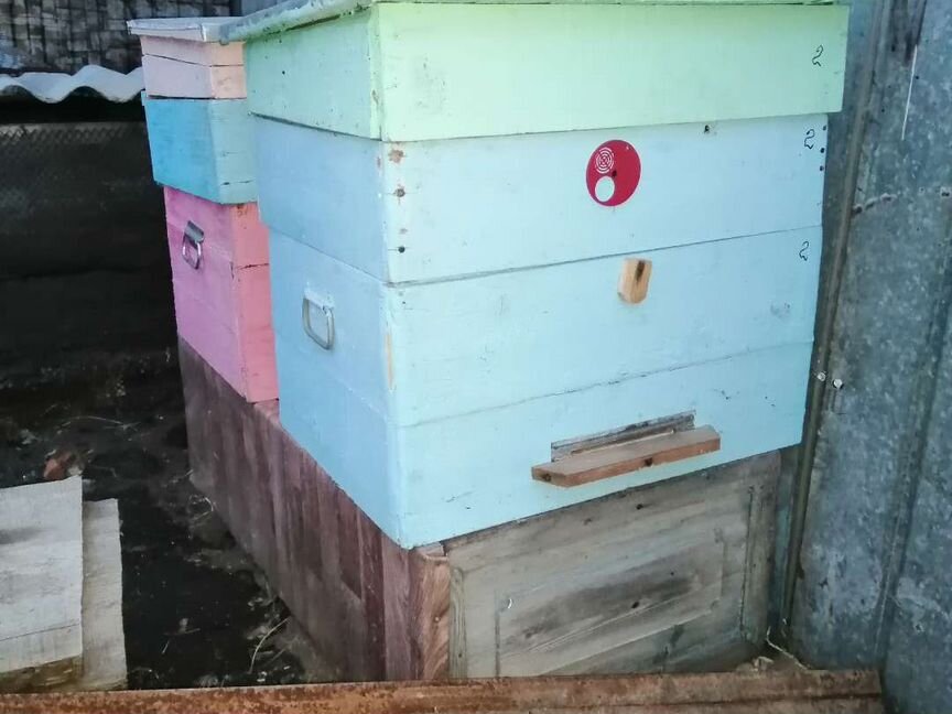 Улей для пчел бу