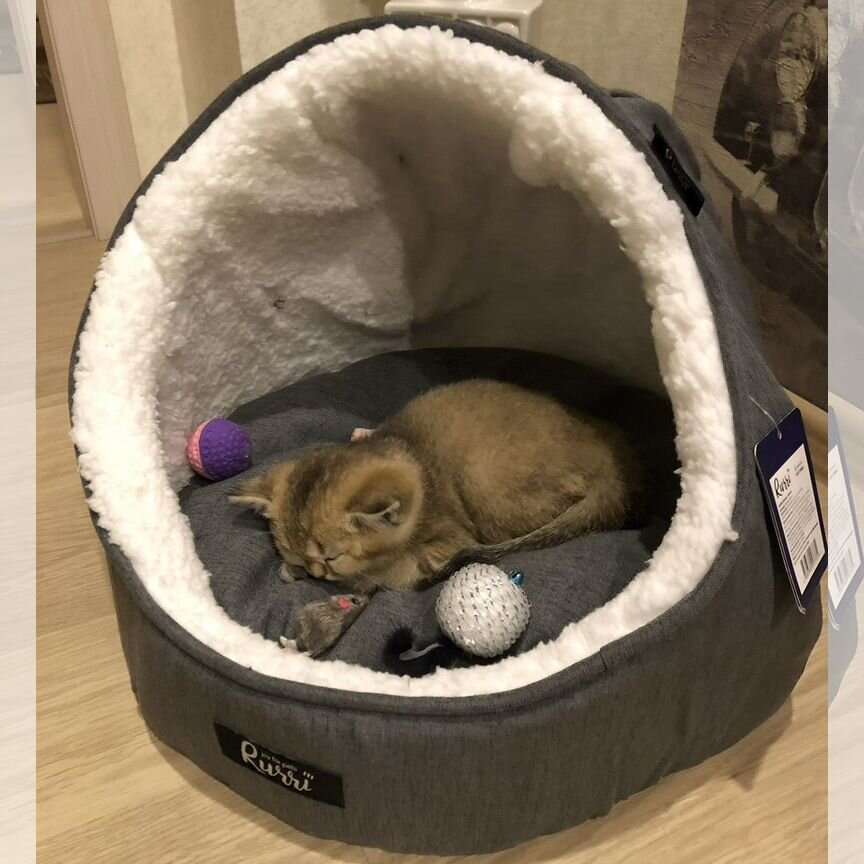 Домик лежанка для кошки