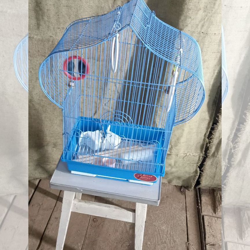 Клетка для попугая бу