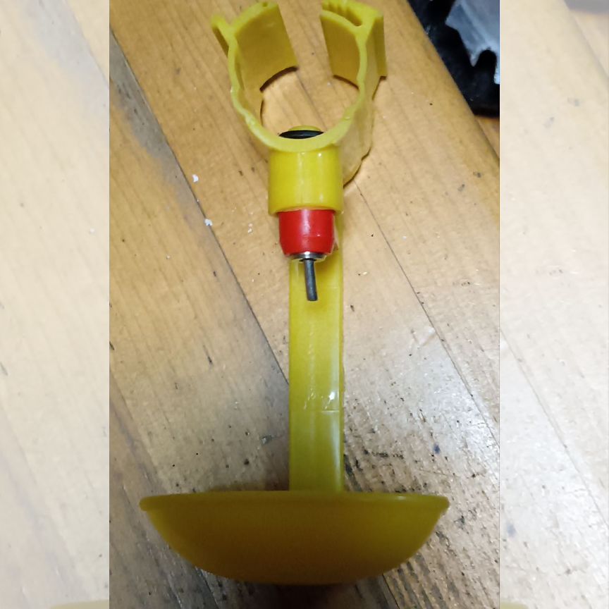 Поилка для птиц