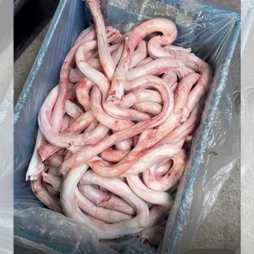 Бычий корень для собак