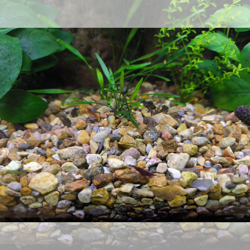 Грунт для аквариума