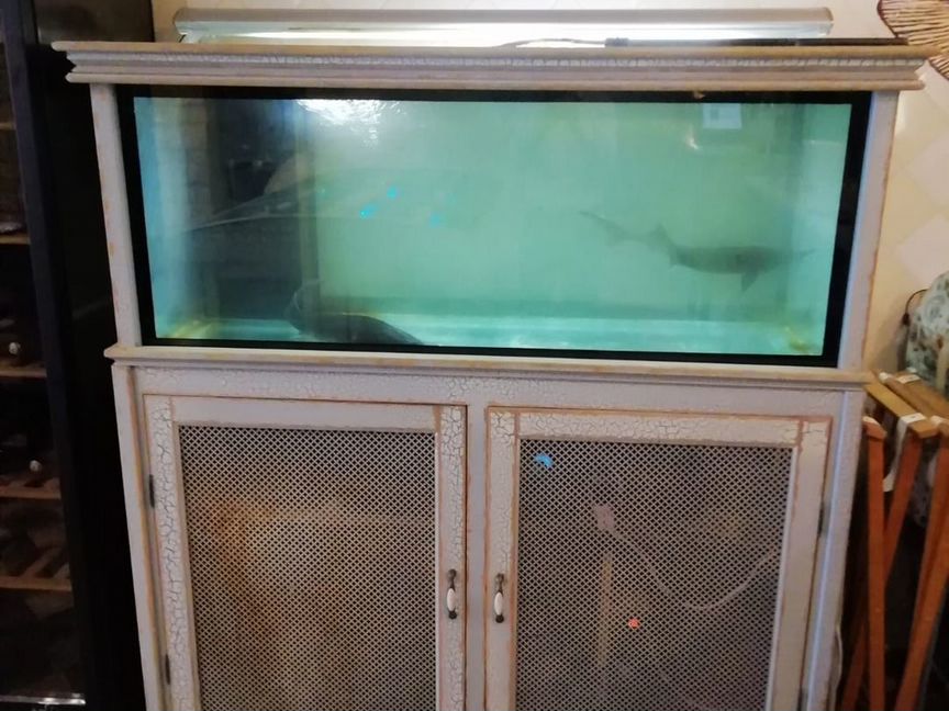 Аквариум с тумбой 500 литров