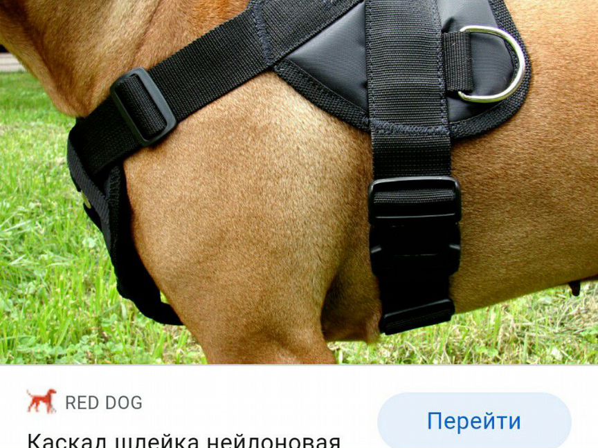 Шлейка для собак