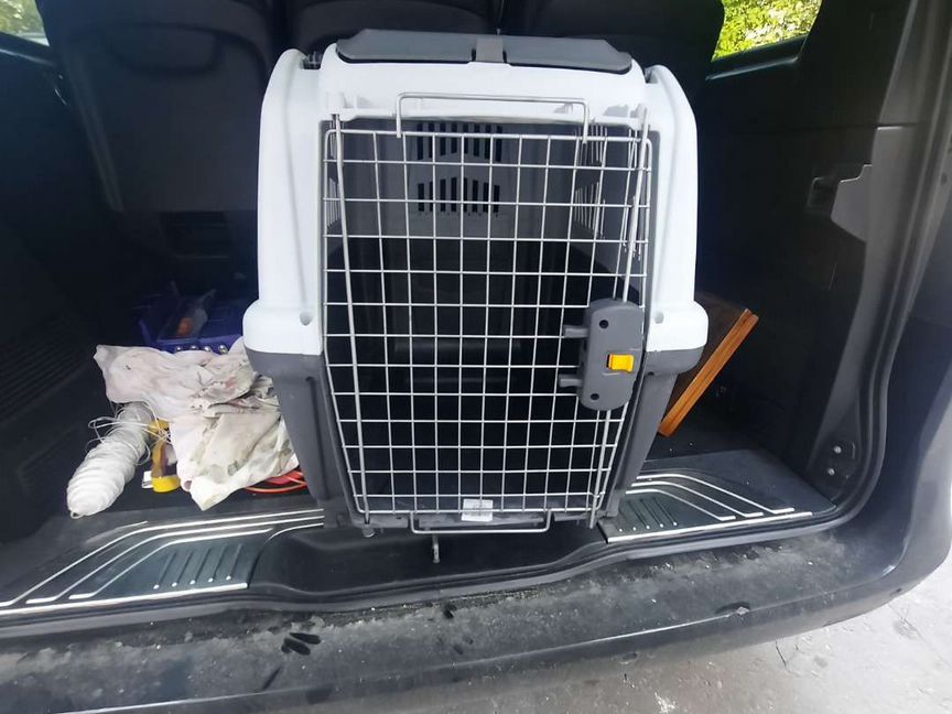 Авиапереноска skudo 5