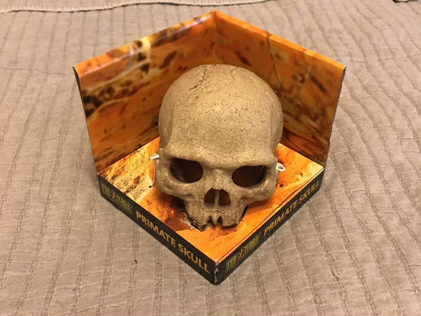 Exoterra череп для террариума