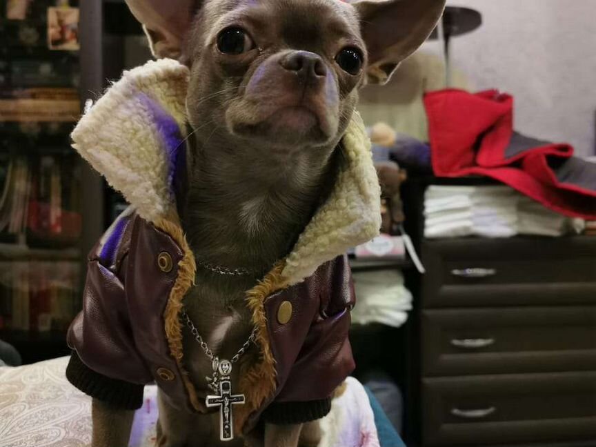 Ищем невесту