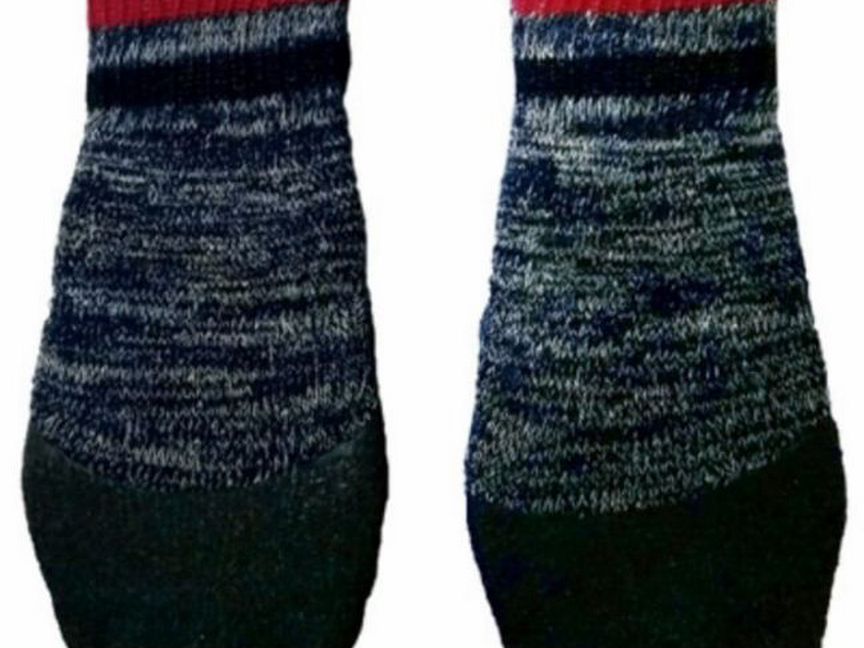 Носочки Барбоски для собаки