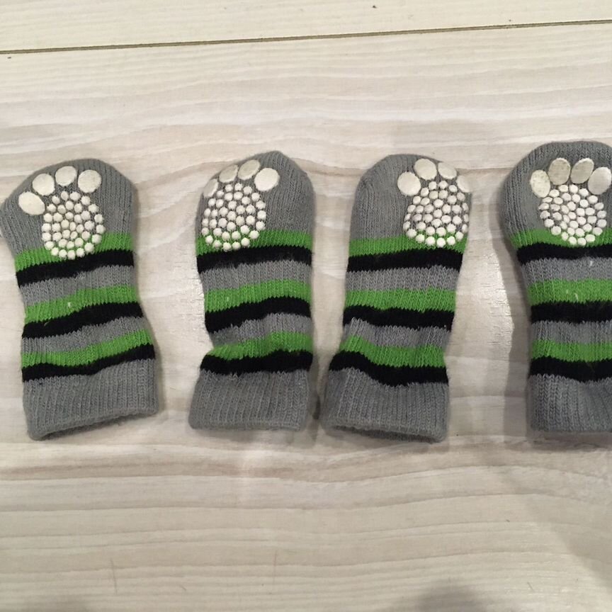 Носки для собак