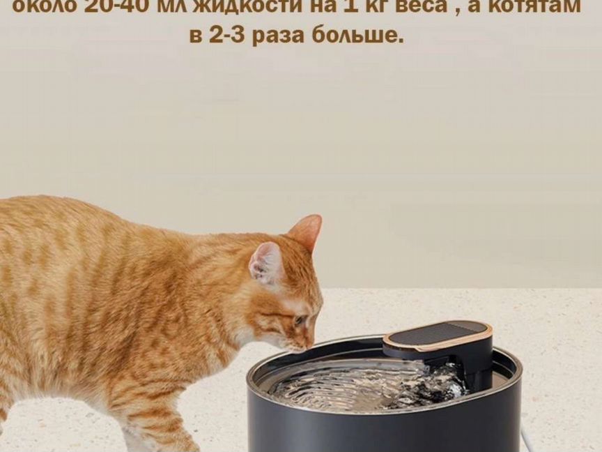 Фонтан поилка