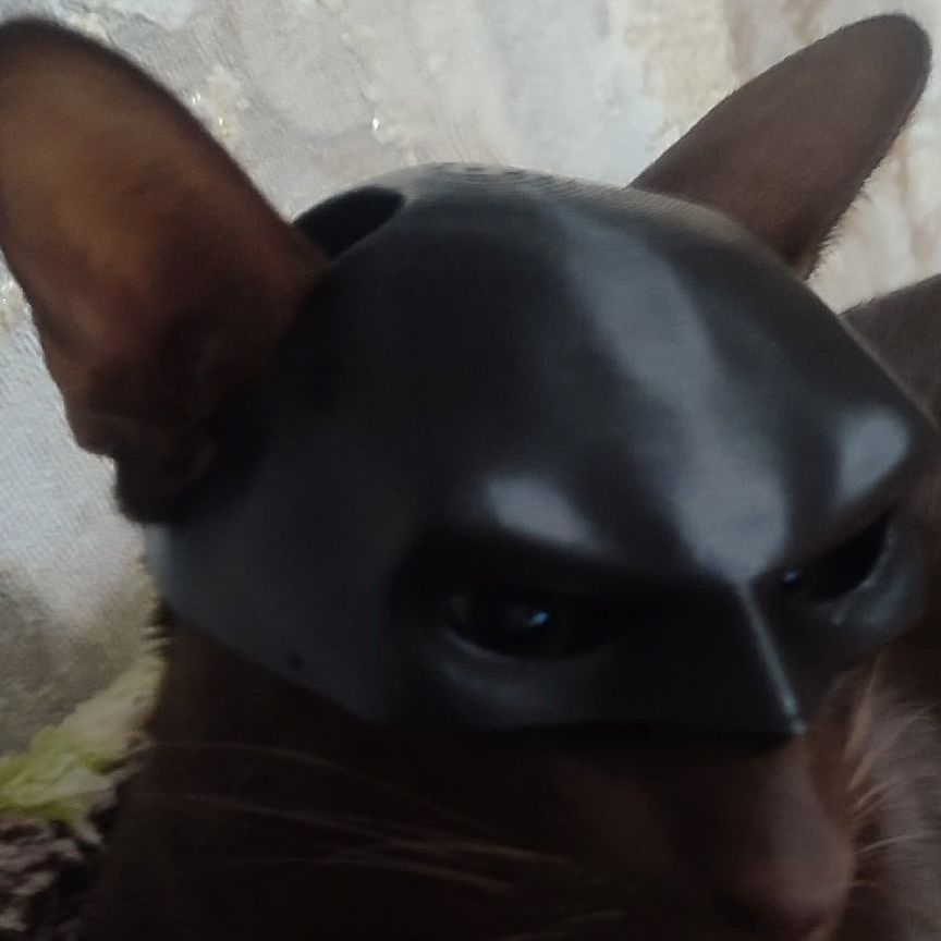 Кошачья маска