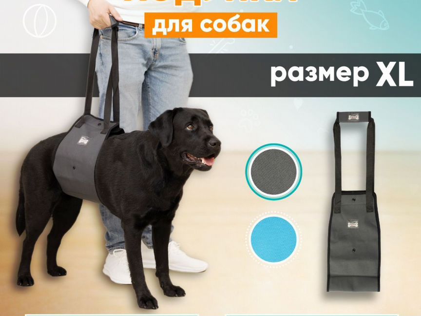 Ходунки для собак